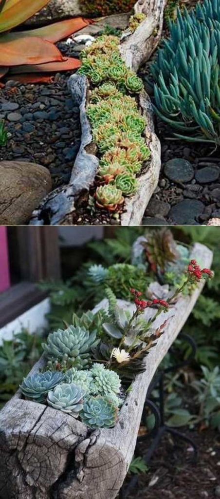 20 Ideas for Creating Amazing Garden Succulent Landscapes - Proud Home ...