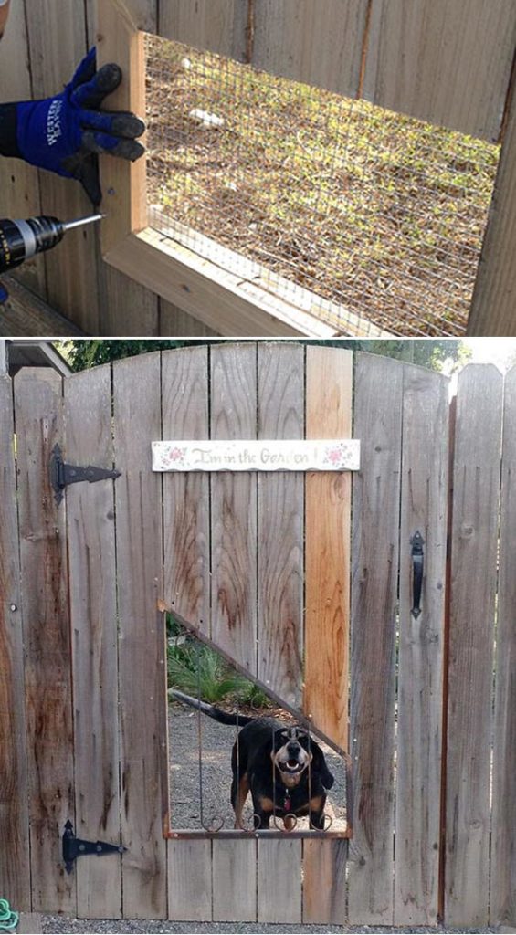 Create Fun Backyard Things for Your Pets to Enjoy - Proud Home Decor