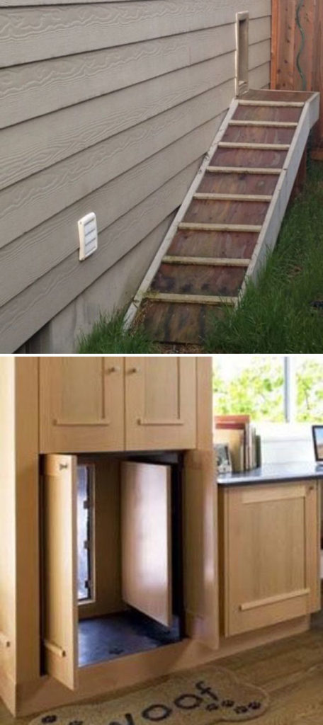 Create Fun Backyard Things for Your Pets to Enjoy - Proud Home Decor